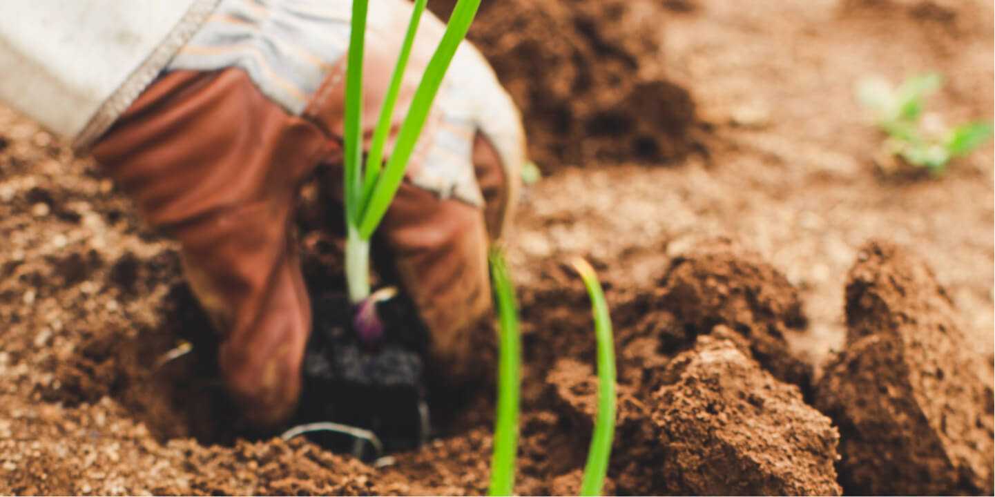 What Is Responsible Sourcing? 3 Real Examples