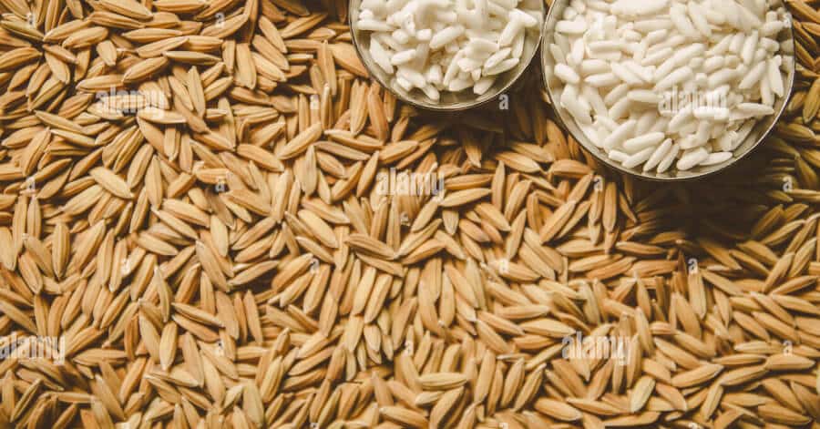 Rough Rice Prices – Historical Graph [Realtime Updates]