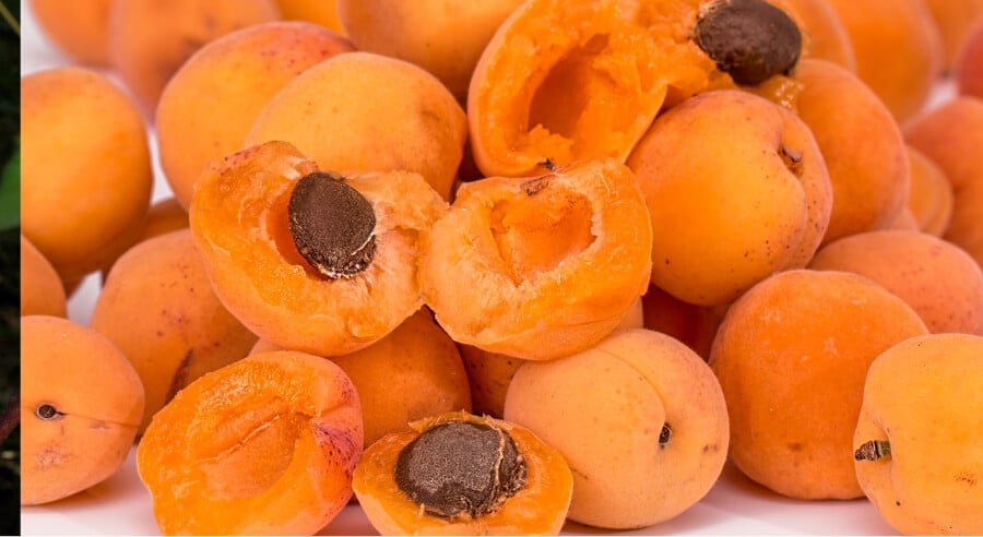 Apricot Prices – Historical Graph [Realtime Updates]