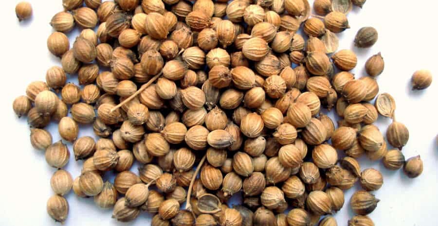 Coriander Prices – Historical Graph [Realtime Updates]