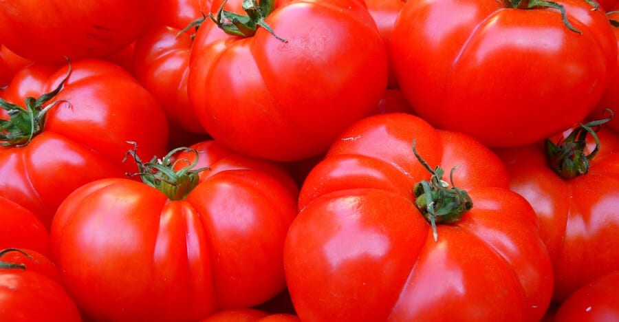 Tomato Prices – Historical Graph [Realtime Updates]