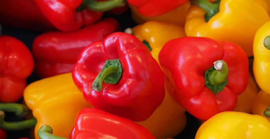 Bell Pepper Prices – Historical Graph [Realtime Updates]