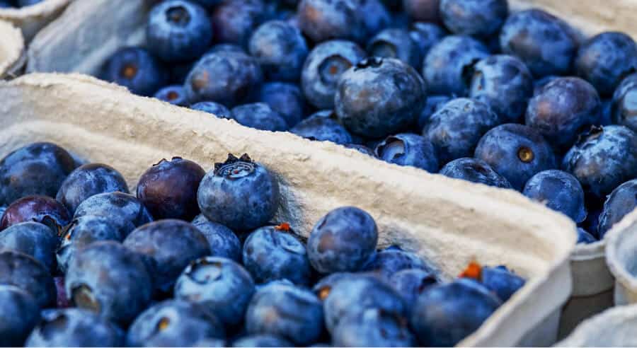 Blueberry Prices – Historical Graph [Realtime Updates]
