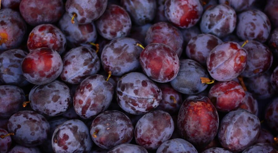 Plum Prices – Historical Graph [Realtime Updates]